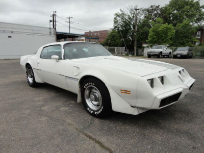 Buy 1981 Pontiac Firebird Trans Am100,000,Coupe,White,Blue,189314329 ...